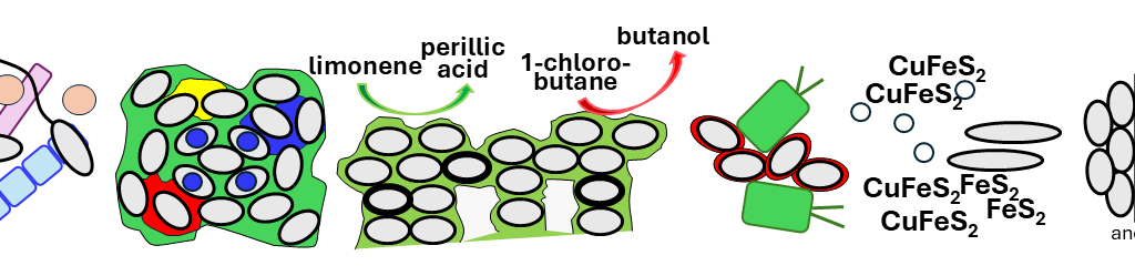 Bacterial signaling molecule that choreographs flip between biofilm and ...