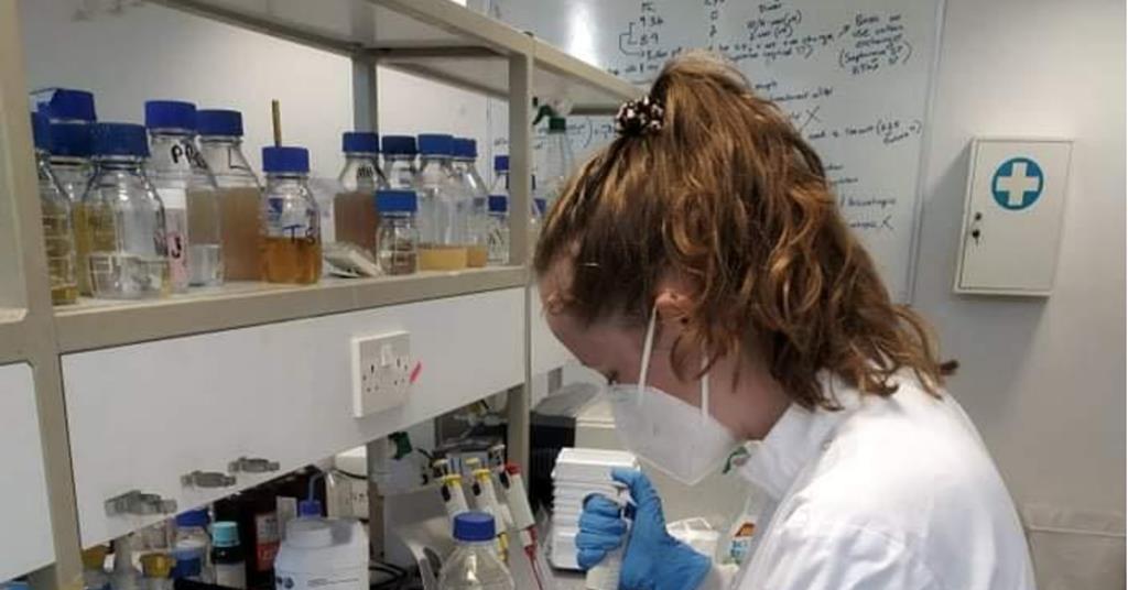 AMI internship leads Zoe down path of antimicrobial resistance | The ...