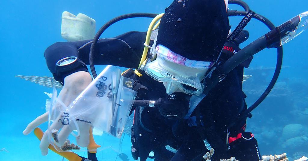 Under the microscope: microplastics | Features | The Microbiologist