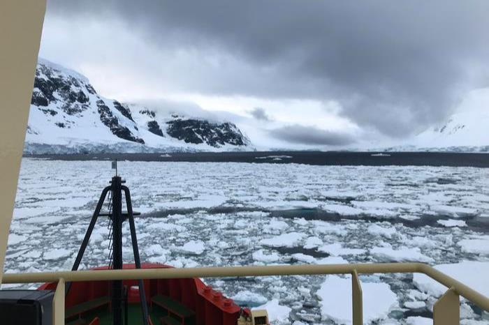 Polar experiments reveal seasonal cycle in Antarctic sea ice algae ...