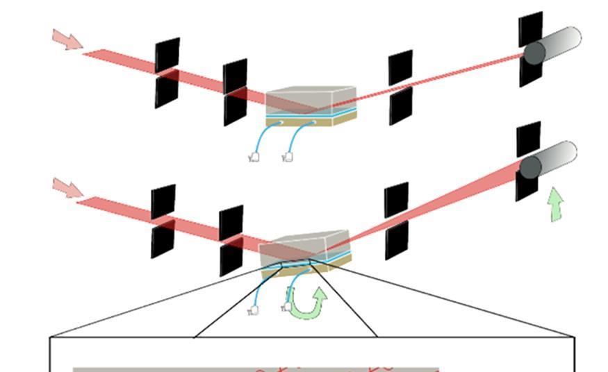 Revealing cell membrane architecture with neutron scattering at the ISIS Neutron and Muon Source ...