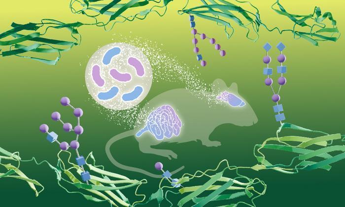 Bacteria, brains, and sugar: scientists uncover new connections | News ...