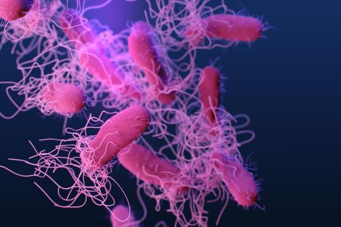 Sensor-led technology will rapidly detect foodborne pathogens in ...