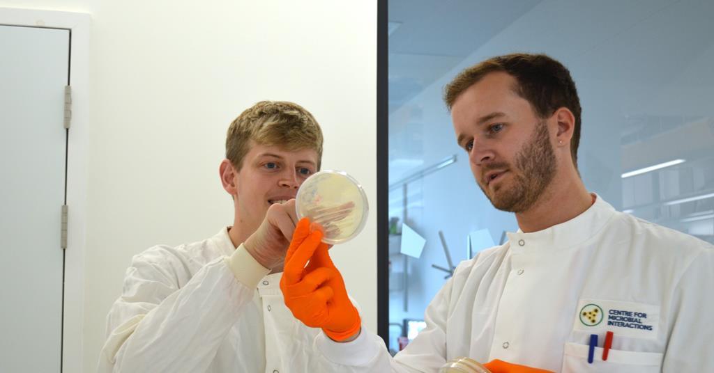 Making connections: the story behind the Centre for Microbial ...