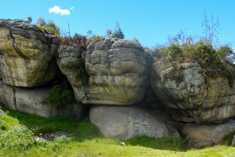 Ancient DNA pushes back record of treponemal disease-causing bacteria ...