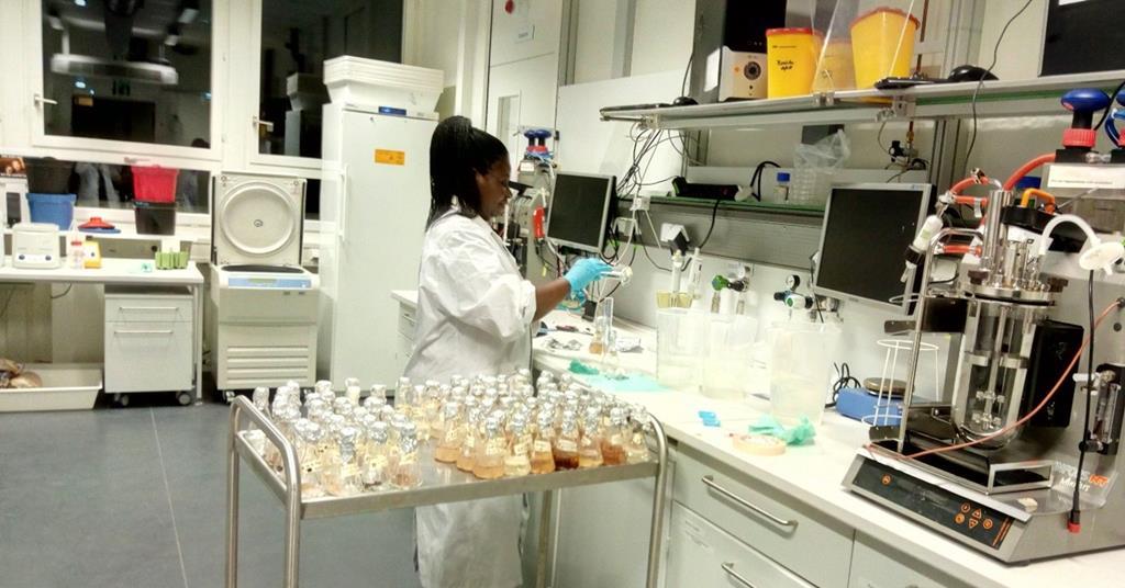 My journey with Life Cycle Assessment | Careers | The Microbiologist