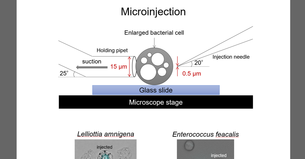 Scientists reveal how getting physical can tackle a key hurdle in ...