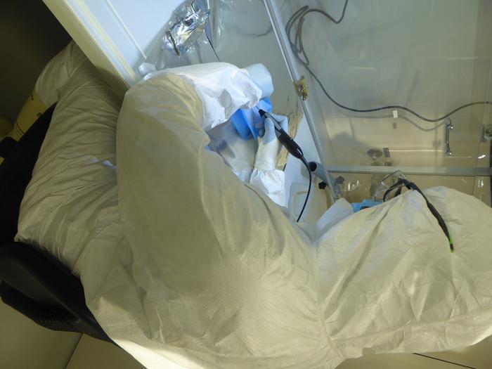 Syphilis had its roots in the Americas, archaeological bone reveals ...