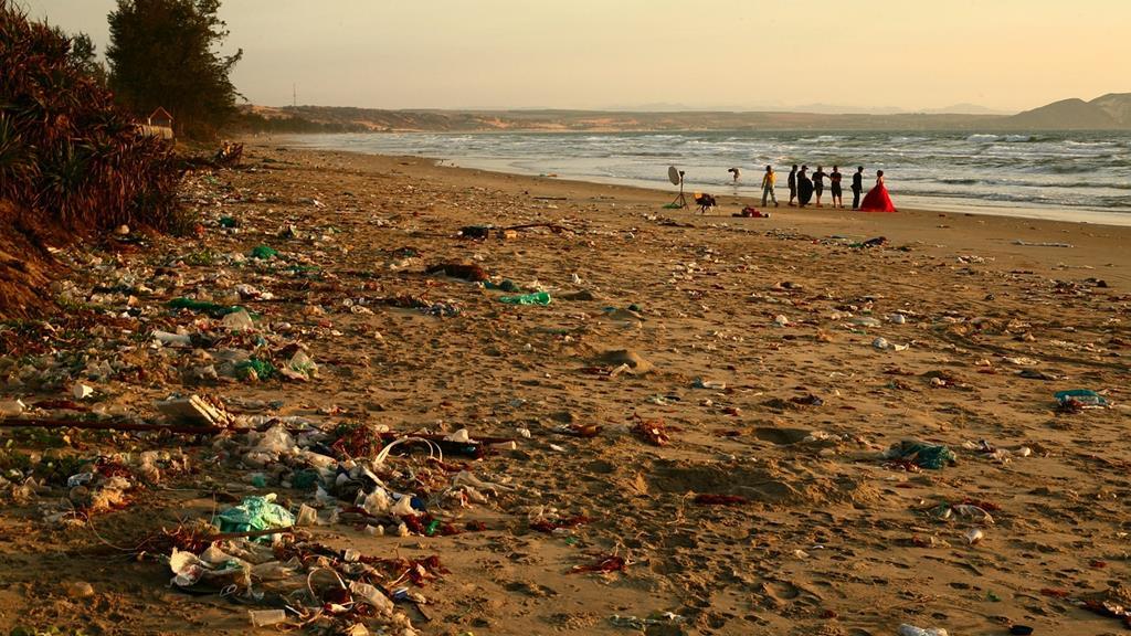 Lessons learned from microbes that stick to plastic | Features | The ...