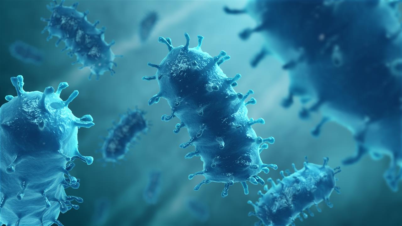 Under the microscope: rabies | Features | The Microbiologist