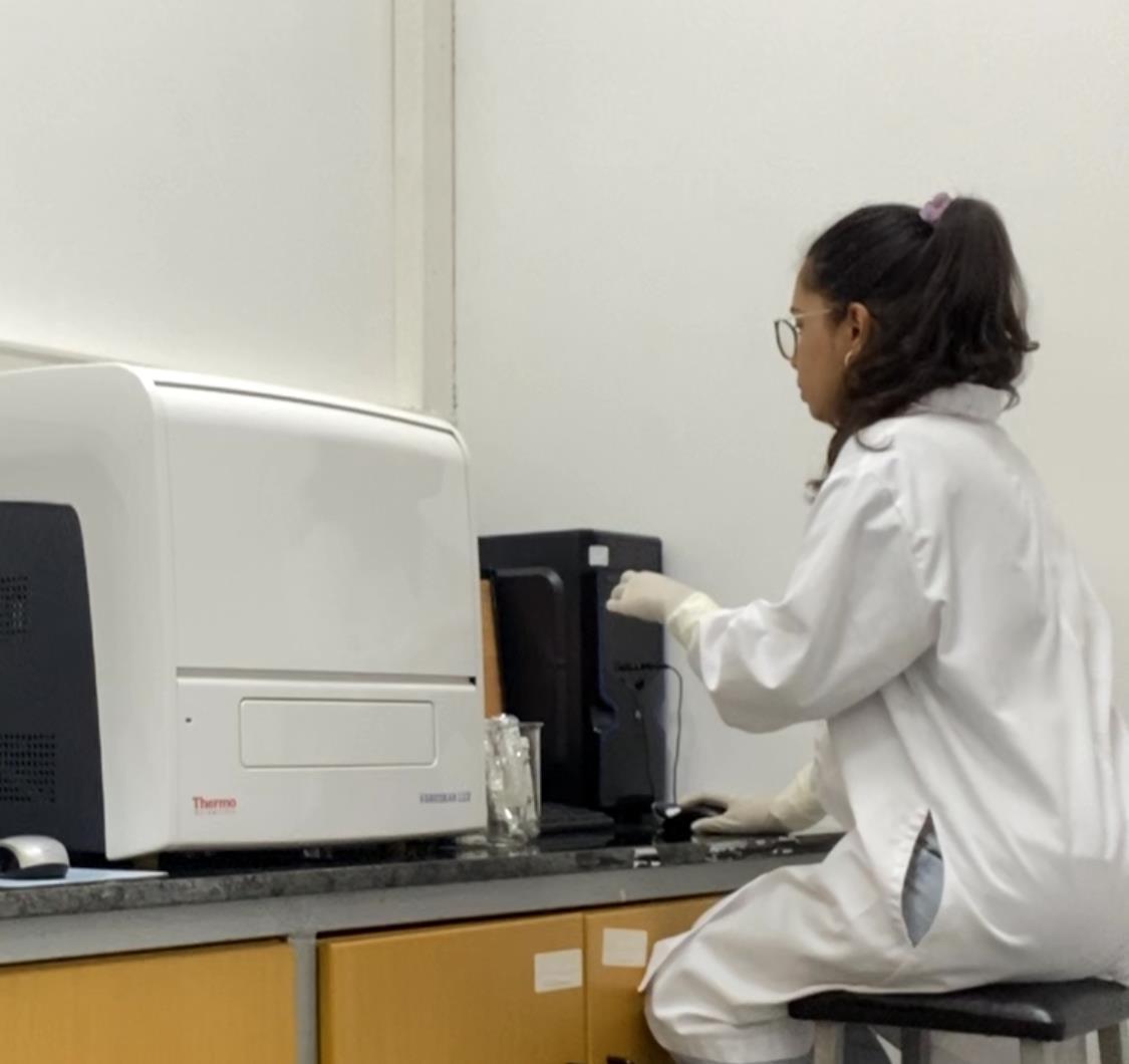 A day in the life of a multidisciplinary PhD researcher | Careers | The ...