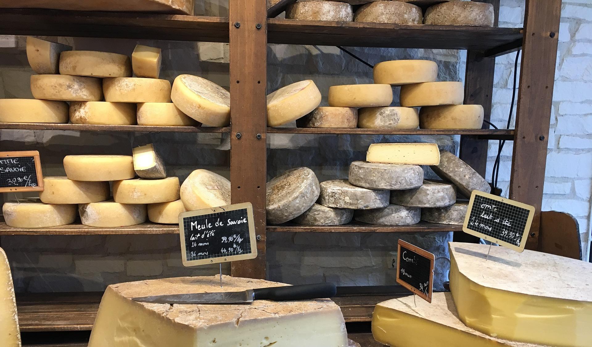 Microbiological concerns faced in cheese-making environments | Features ...