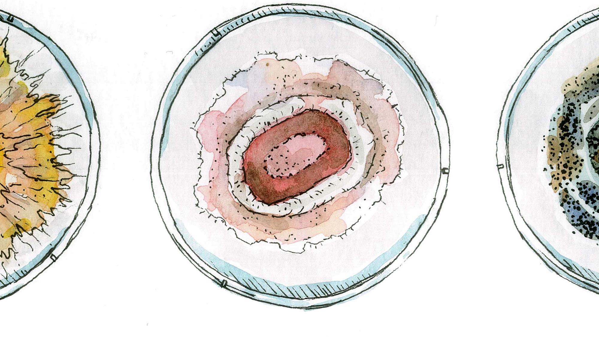 A relationship with benefits: microfungi’s important role in plant ...