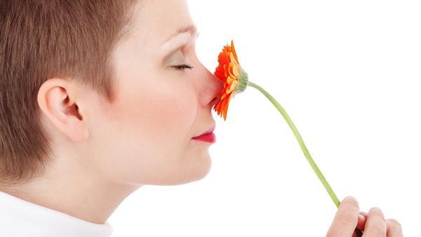 The scent of infection: how smells can help us spot disease | Features ...