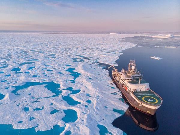 Arctic Ocean food chain disrupted as key tipping point passed | News ...