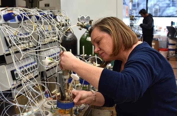 Commercially viable biomanufacturing: designer yeast turns sugar into ...