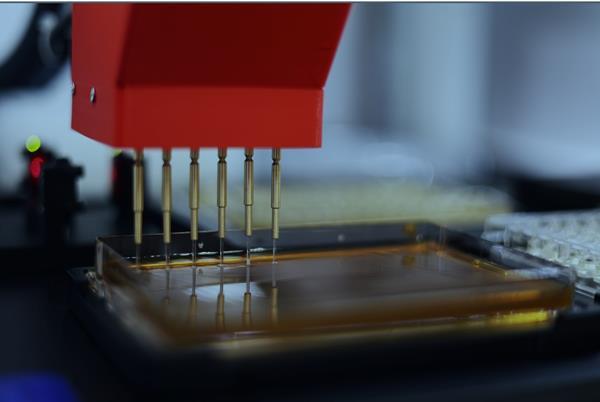 PIXL Max: Automated colony picker breaks records for speed and accuracy ...