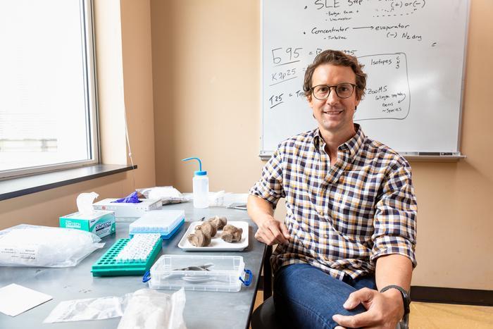 How did Bronze Age plague spread? Ancient sheep might solve the mystery ...