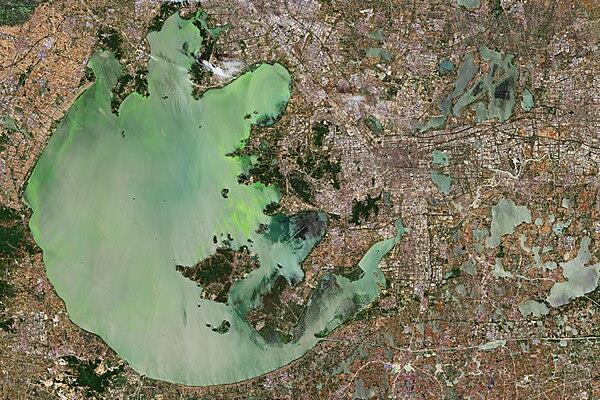 Explainable deep learning model provides new understanding of harmful algal blooms in China’s ...