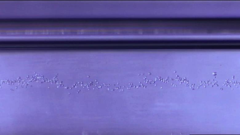 Scientists identify cells by seeing how high they levitate | News | The ...