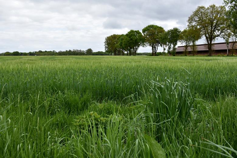 Antibiotic resistance is ancient, ecological, and deeply connected to ...
