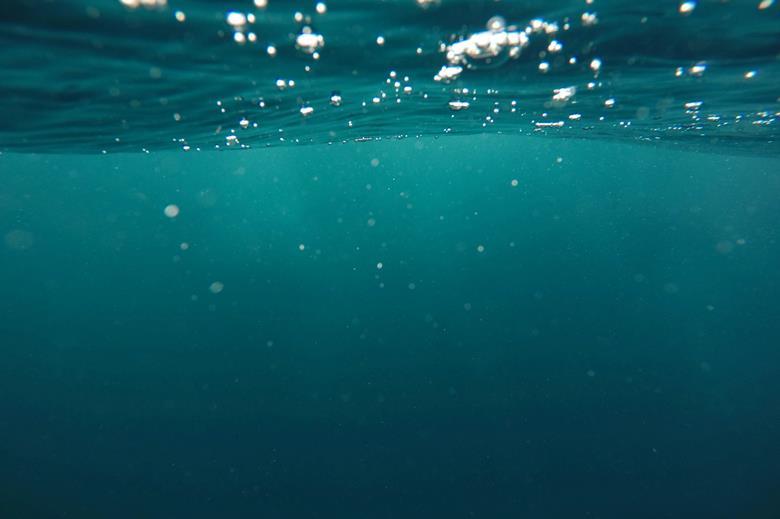 Bacteria resisting viral infection can still sink carbon to ocean floor ...