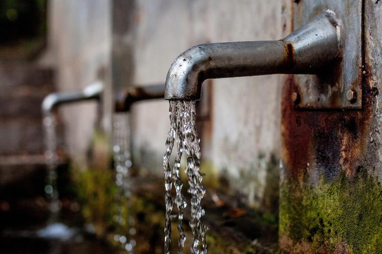 Free-living amoebae and emerging public health challenges in a warming ...