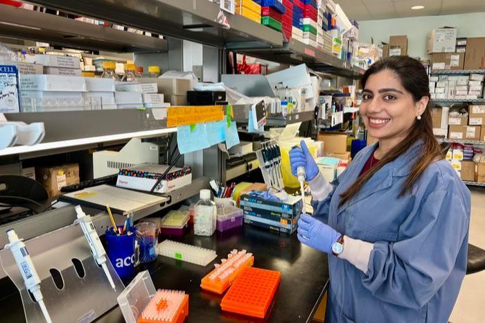 Ancient viral DNA shapes modern human placentas | News | The Microbiologist