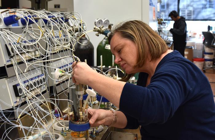 Commercially viable biomanufacturing: designer yeast turns sugar into ...