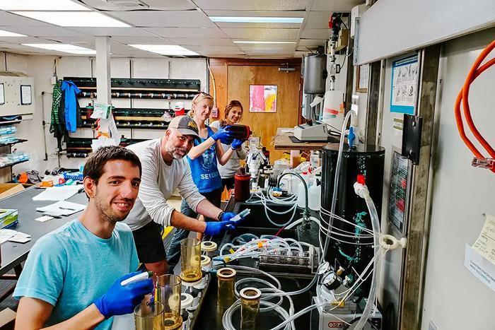 Team shows how viral lysis of blue-green algae enhances ecosystem-scale ...