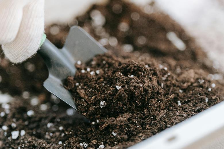 Why don’t antibiotic-making bacteria self-destruct? | News | The ...