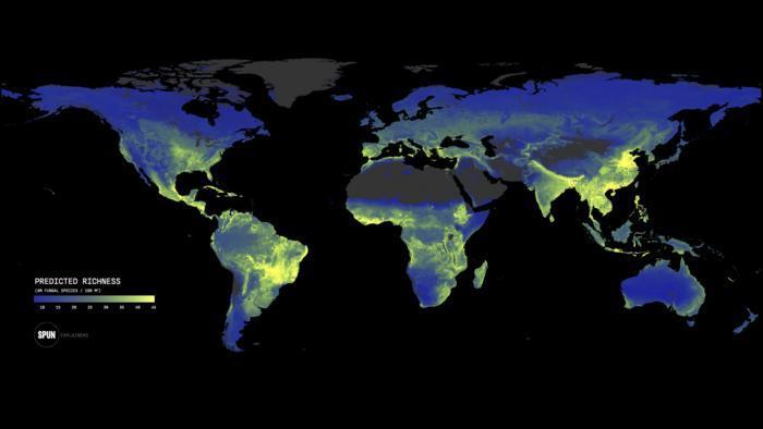 Underground Atlas: First global map of fungal biodiversity reveals 90% ...